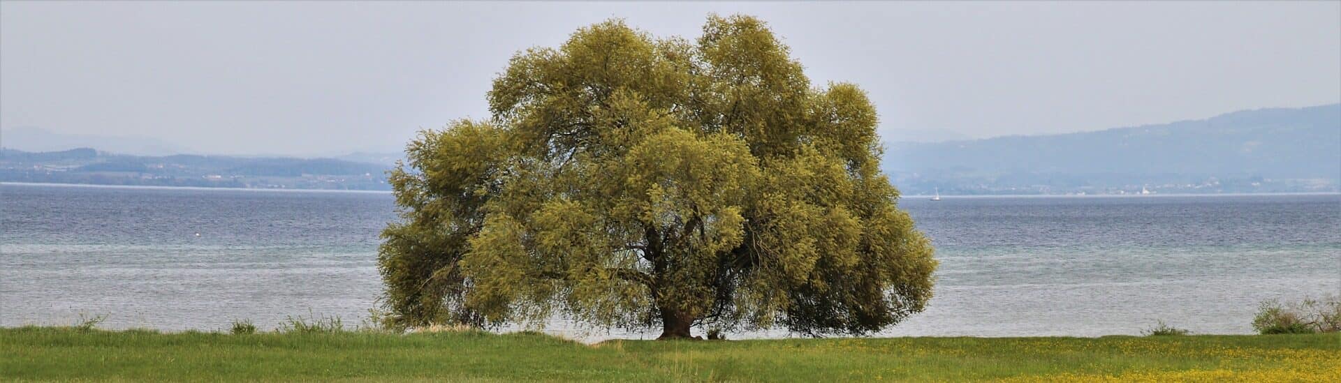 À Propos de Reconnais Sens • Reconnais Sens